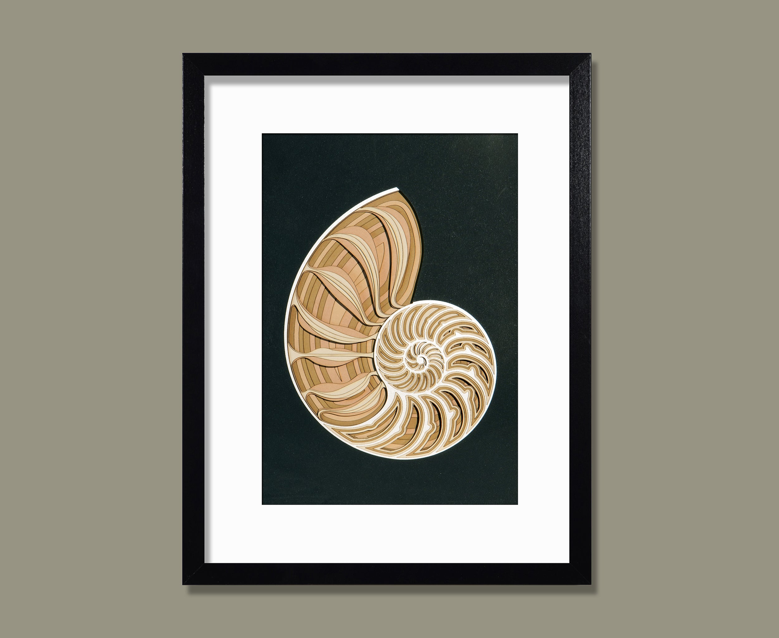 201 NAUTILUS SHELL – ILLUSIV ORIGINALS